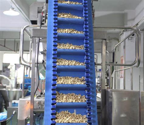 What Is The Most Packing Solution For Frozen Products