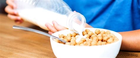 ¿qué Tan Saludable Es La Leche De Búfala Beneficios Y Propiedades Mi Hogar