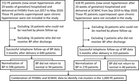 Study Flowchart Outlining The Composition Of Final Pe Cohort Using The