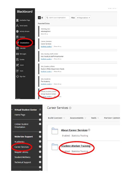 Updated Swt Screen Shot Instructions Pdf