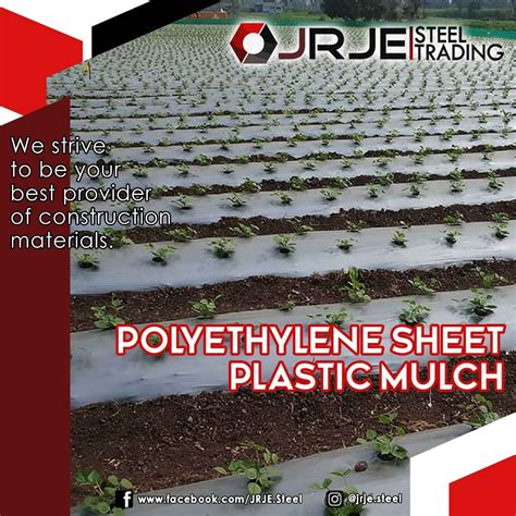 Garden Polyethylene Sheet And Greenhouse Polyethylene Sheet Plastic