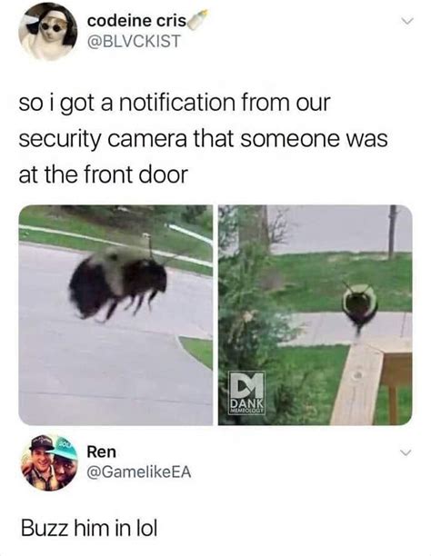 50 Of The Cleverest Science Memes That Perfectly Blend Humor With Knowledge Bored Panda