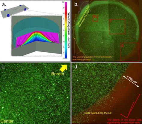 A Numerical Simulation Results By CFD RC Illustrating The Flow Field Download Scientific