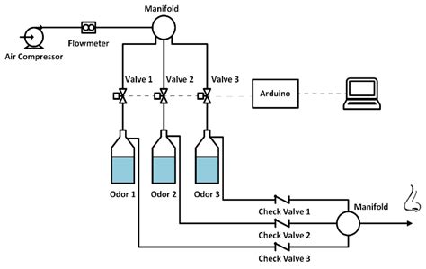 Schematic Diagram Of The Olfactometer Design Download Scientific Diagram