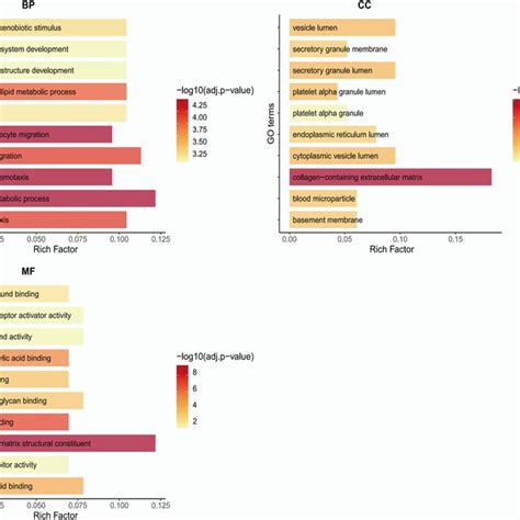 The Top 10 Gene Ontology Go Terms Of Differentially Expressed Genes Download Scientific