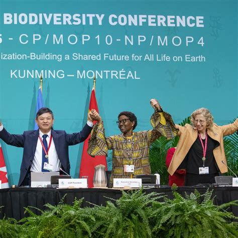 Dr Oec Patrick L Dorvil On Linkedin From Agreement To Action The