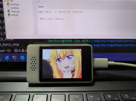 为立创实战派ESP C 开发板编译MicroPython固件 Barkure