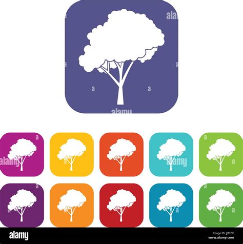 Tree With A Rounded Crown Icons Set Stock Vector Image Art Alamy