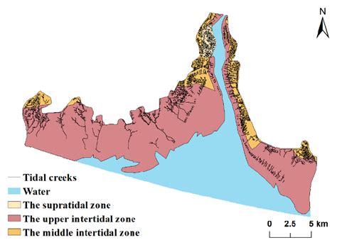 Intertidal Zone Location