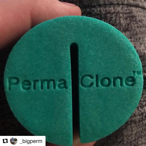 Improving Hydroponic Cloning Success Efficiency And Ecology Permaclone