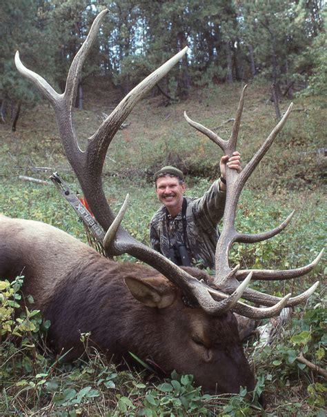 Facts About Arrow Penetration