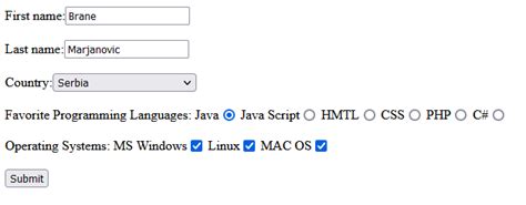 Github Marjanovicbranespring Boot Mvc Form Validation In This