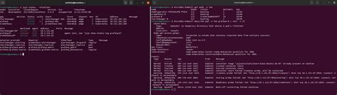 Liveness Probe Fails · Issue 22 · Canonicalgrafana K8s Operator · Github