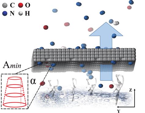 Schematic Diagram For The Simulation Setup Multilayer Graphene Download Scientific Diagram