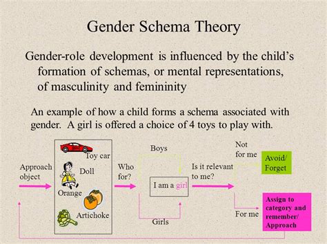 Gender Schema Theory Understanding Gender Development In Feminist