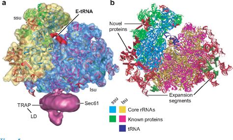 Figure 2 From Integrating Diverse Data For Structure Determination Of Macromolecular Assemblies