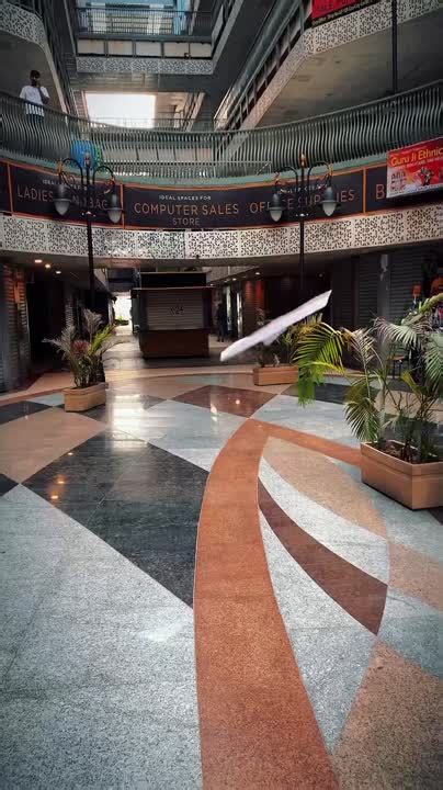 Siddharth Mishra On Linkedin If You Are Disciplined In Your Life Then Nobody Can Beat You