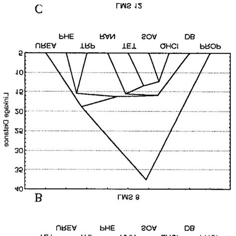 Cluster Analysis Single Linkage Joining Euclidean Distances Of Download Scientific Diagram
