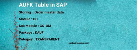 Aufk Sap Table For Order Master Data