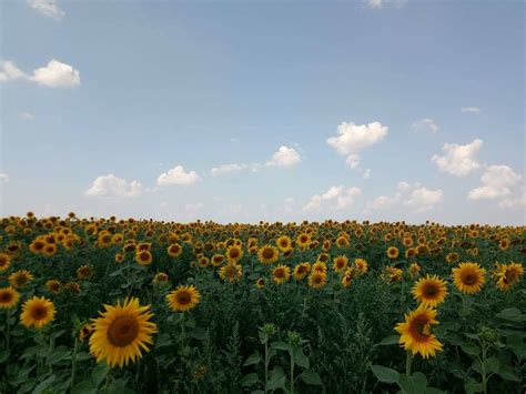 Гощанський край Кампанію декларування 2020 продовжено до 1 червня ☝️ 17 березня набрав