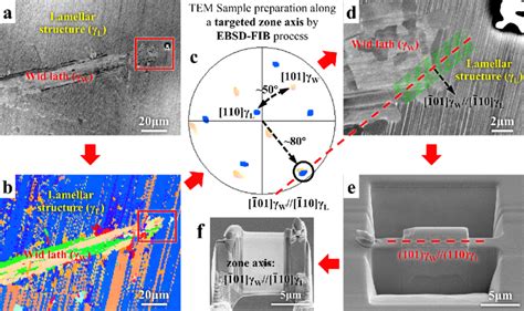 tem sample preparation along a targeted zone axis by ebsd fib process