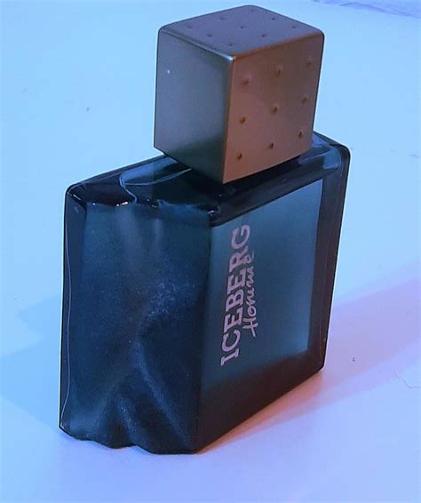 Iceberg Homme Iceberg Colônia - a fragrância Masculino 1991