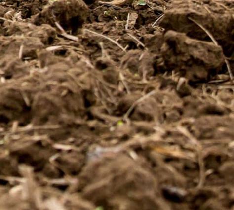 Knowing The Difference Between Concentration And Availability In Soil Fertility Advanced