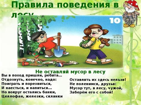 Правила Безопасности В Лесу Картинки — Фото Картинки