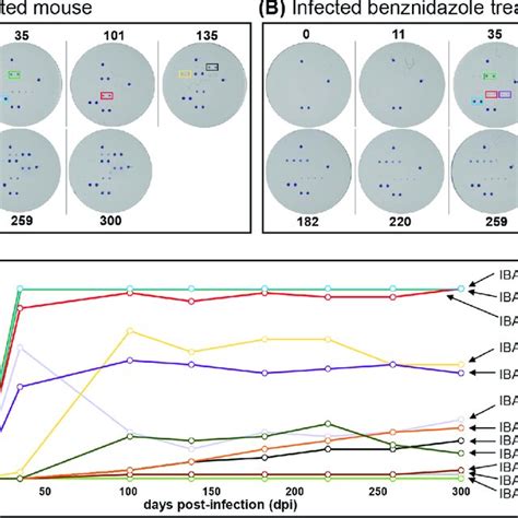 Multiplex Immunoassay Antigen Screening With Serum From Benznidazole