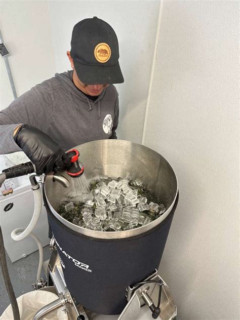 Unlocking The Secrets Maximize Your Bubble Hash Yields Triminator