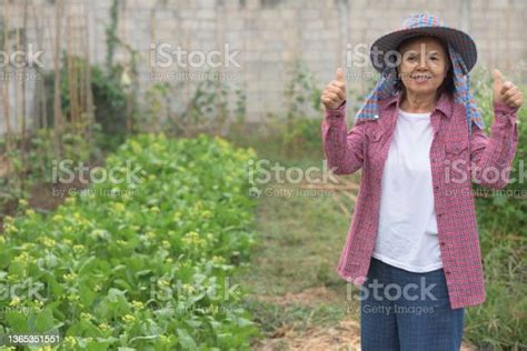 성공적이고 행복한 시니어 아시아 농부 미소 엄지 손가락을 넣어 서 원예에 대한 스톡 사진 및 기타 이미지 원예 한 명의 여자만 기업가 Istock