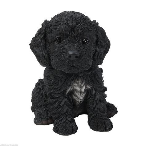 Cockapoo Black Puppy By Vivid Arts