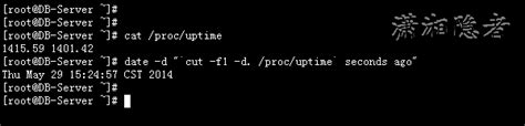 Linux下如何查看系统启动时间和运行时间 Csdn博客
