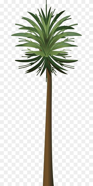 Plant Elevation Png Images PNGWing