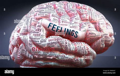 Feelings In Human Brain Hundreds Of Crucial Terms Related To Feelings Projected Onto A Cortex