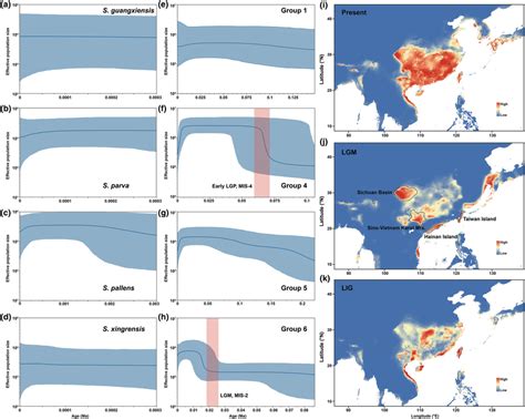 Bayesian Skyline Plots For Different Species And Phylogeographic Groups Download Scientific