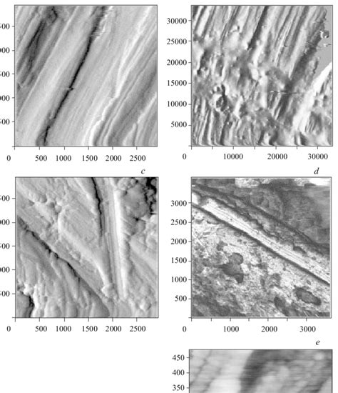Deformation Structures Formed On The Surface Of A Stationary Zone Of
