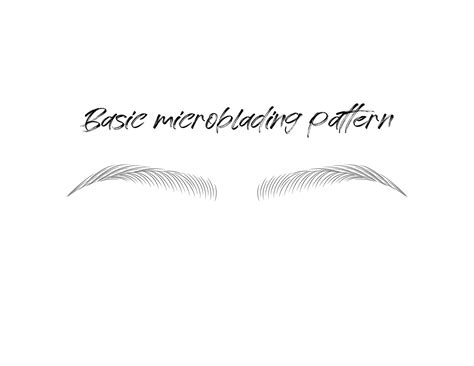 Basic Microblading Pattern Microblading PDF Microblading Digital Download Eyebrows Eyebrow