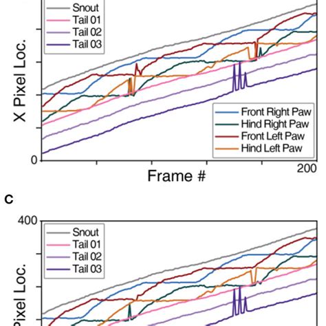 Multiview Paw Correction Algorithm Evaluation Of Optiflex A Box Download Scientific