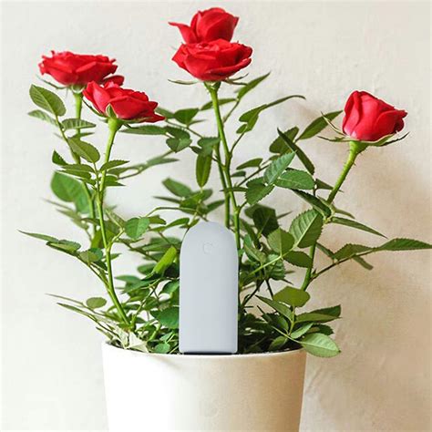 Monitor De Planta Monitor Plantas Inteligente Smart Planta Monitor VegTrug Inteligente Monitor