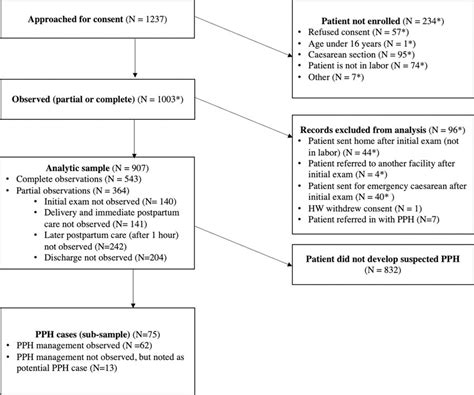 Sample Flowchart Notes Hw Stands For Health Worker Pph Stands For