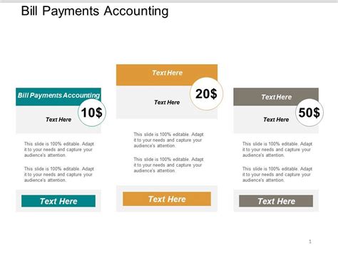 Bill Payments Accounting Ppt Powerpoint Presentation Gallery Examples Cpb Graphics