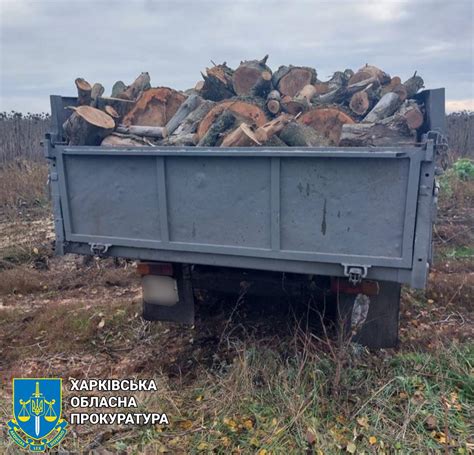 На Харківщині поліція впіймала «чорних лісорубів які вирубали дерев на майже 1 млн грн