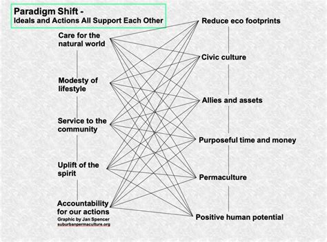 Primer For Paradigm Shift Resilience