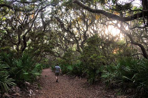 Cumberland Island 10 Dont Miss Activities For This Undeveloped