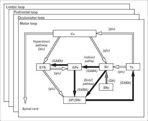 Current Opinion In Neurology
