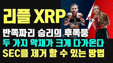 리플 Xrp 반쪽짜리 승리의 후폭풍 두 가지 악재가 크게 다가온다 Youtube