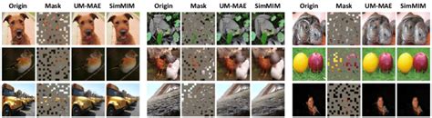 Uncurated Reconstruction Visualizations Under The Same 75 Mask Download Scientific Diagram