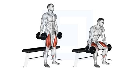 Quarter Front Squat Exercise Library Demo Videos