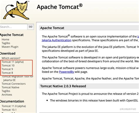 Mac 安装配置使用tomcatmac 安装配置使用tomcat详细教程，从下载、安装到使用，包括常用的启动、授权、关闭 掘金